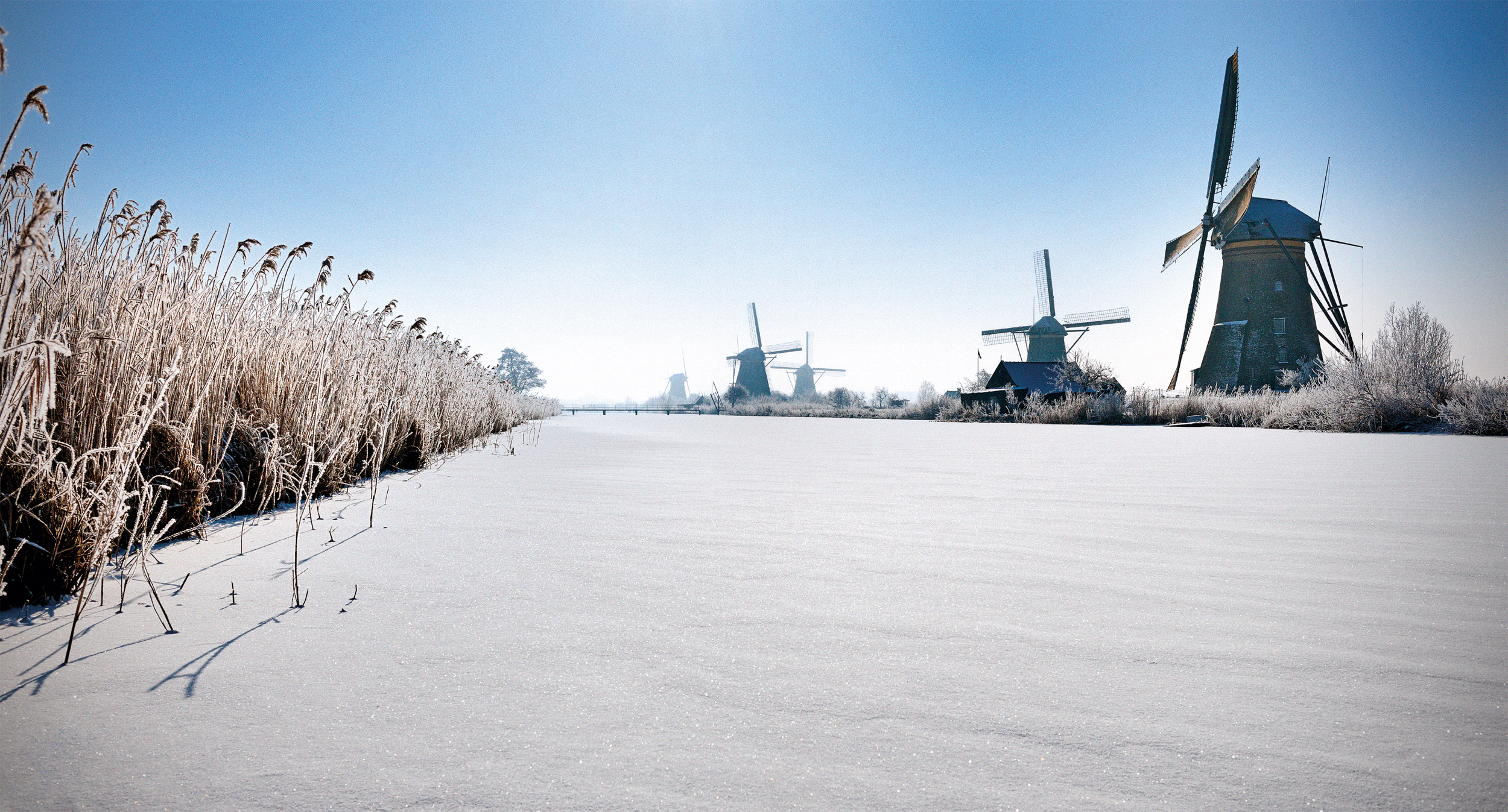 20 fun facts about the Netherlands - Rotterdam Spotted